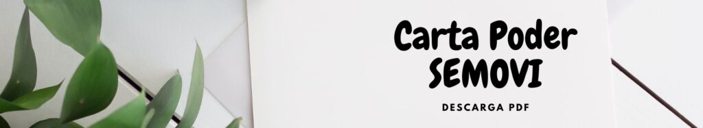 CARTA PODER SEMOVI PDF