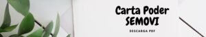 CARTA PODER SEMOVI PDF
